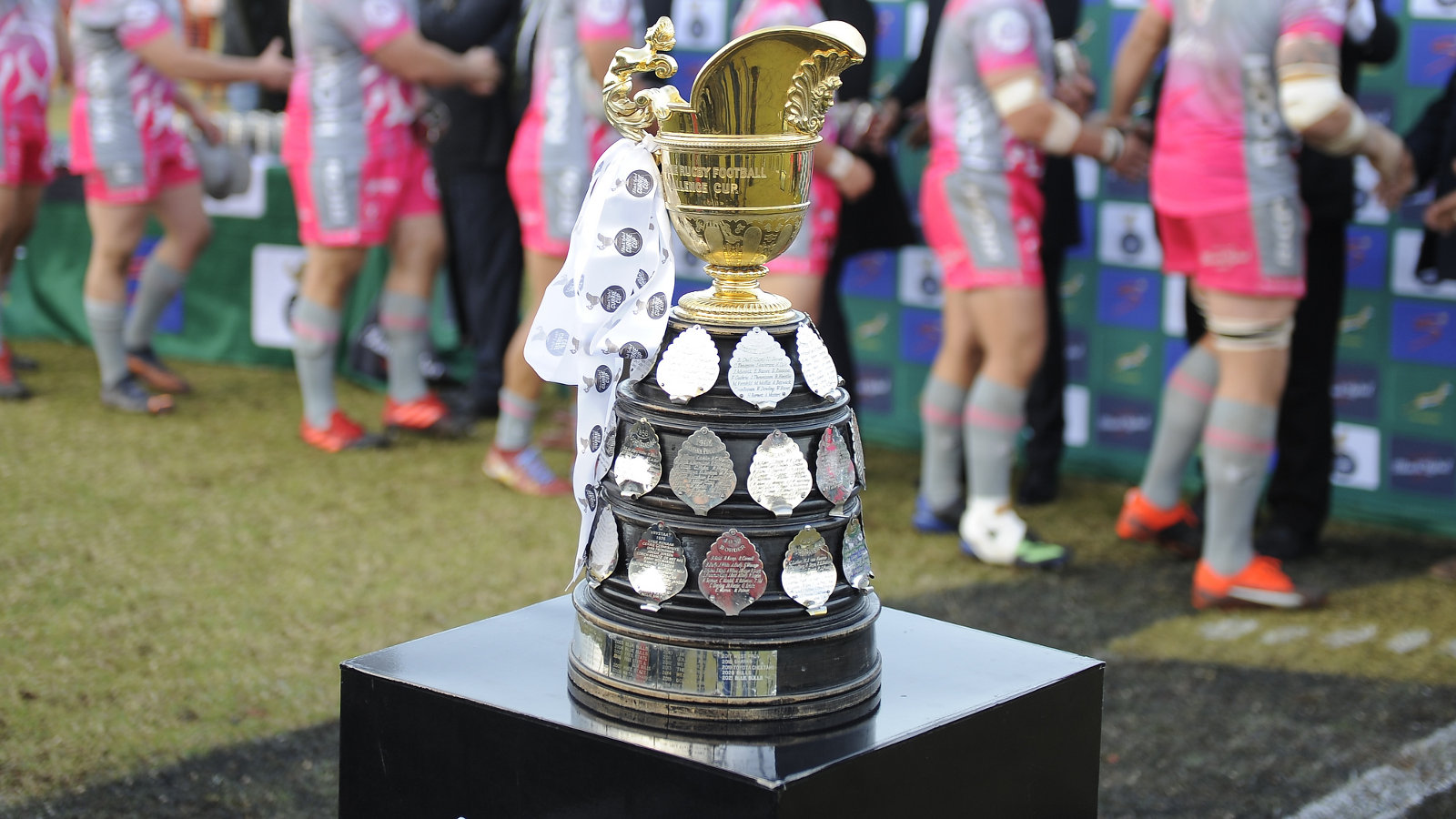 Week 6 Showdowns: Currie Cup Action Heats Up - BetXchange Blog